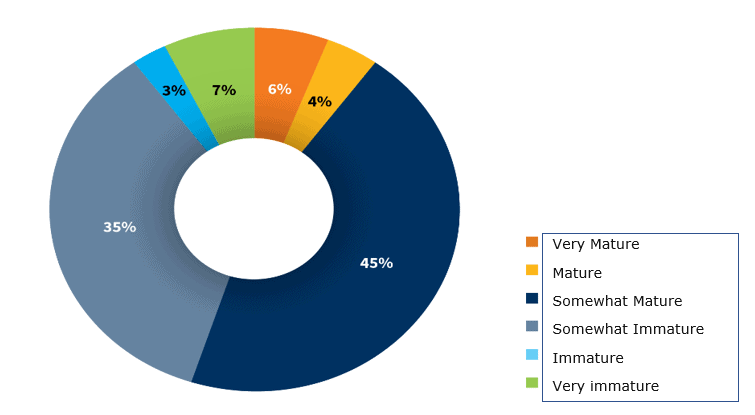 5 Steps to Resource Management Maturity